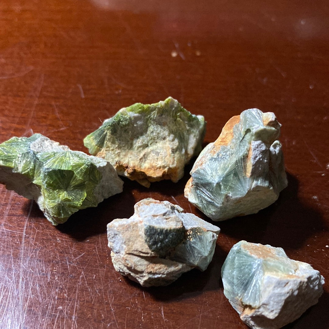 Wavelite - Raw S – The BOTI Shop