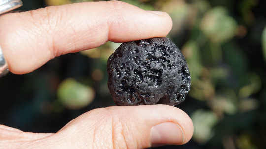 Tektite - Raw L – The BOTI Shop